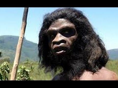 Ape to Man | DocumentaryTube