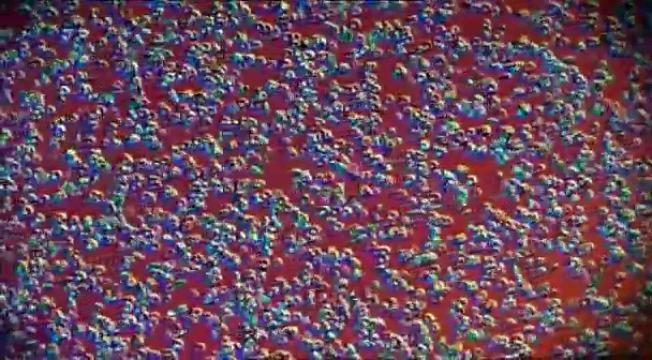 Inside the Perfect Predator | DocumentaryTube