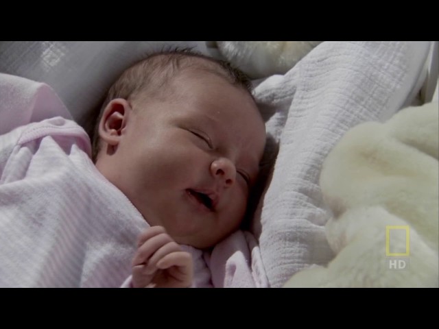 National Geographic - Inside the Living Body | DocumentaryTube