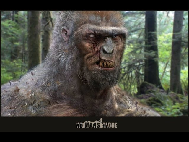 Secrets of Big Foot - Will we Ever See the Mythical Creature ...